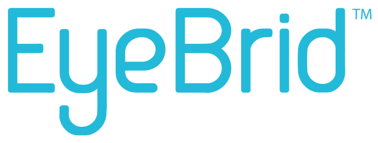 EyeBrid Hybrid lenses - LCS