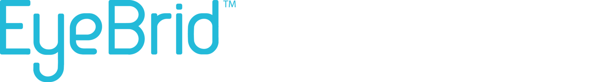 EyeBrid Hybrid lenses - LCS